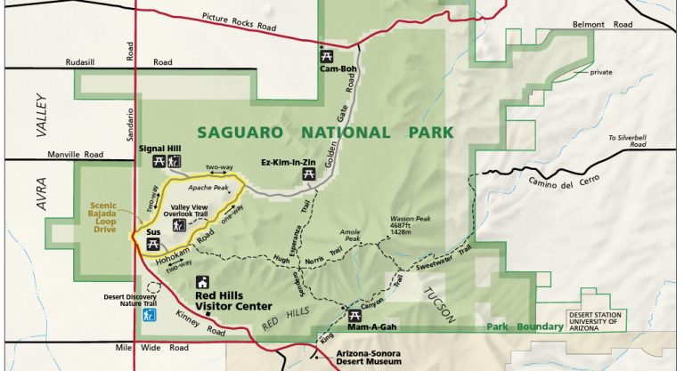 2 Scenic Drives In Saguaro National Park You Can't Miss