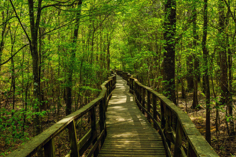 Avoid These Top 5 Worst National Parks In America » Parked In Paradise