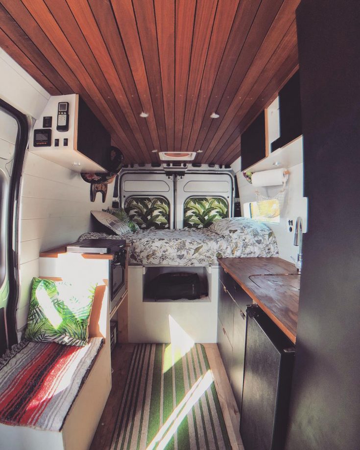 Dodge ProMaster Conversions Ideas And Examples