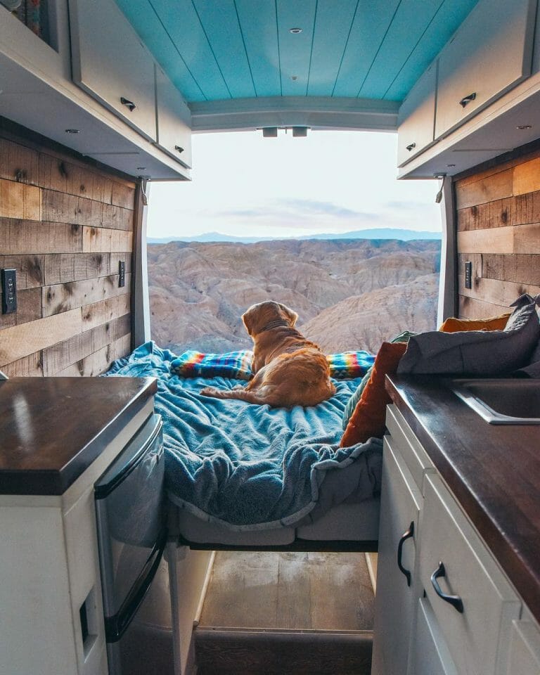 How To VanLife With A Dog Longterm In 2025