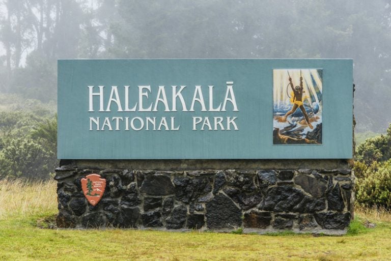 (Images) 63 National Park Entrance Signs - Iconic Symbols, Colors, And ...