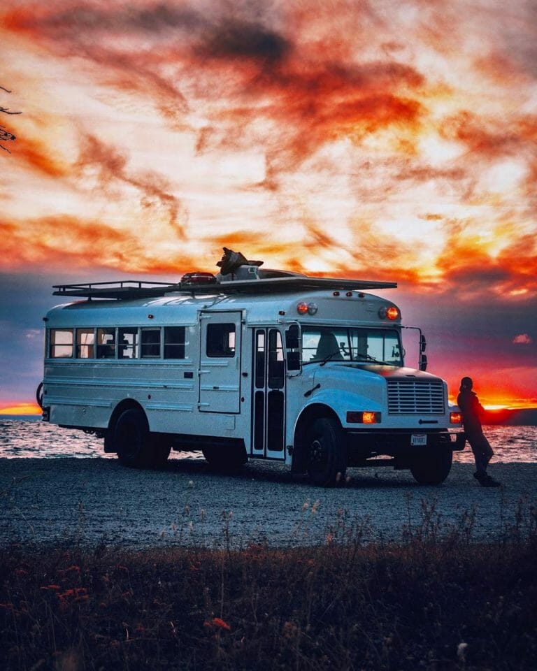 How Long Is A School Bus? » Parked In Paradise