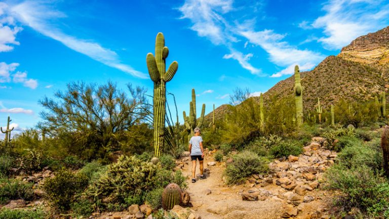 10 Best Hiking Trails In Saguaro National Park (With Maps!) » Parked In ...